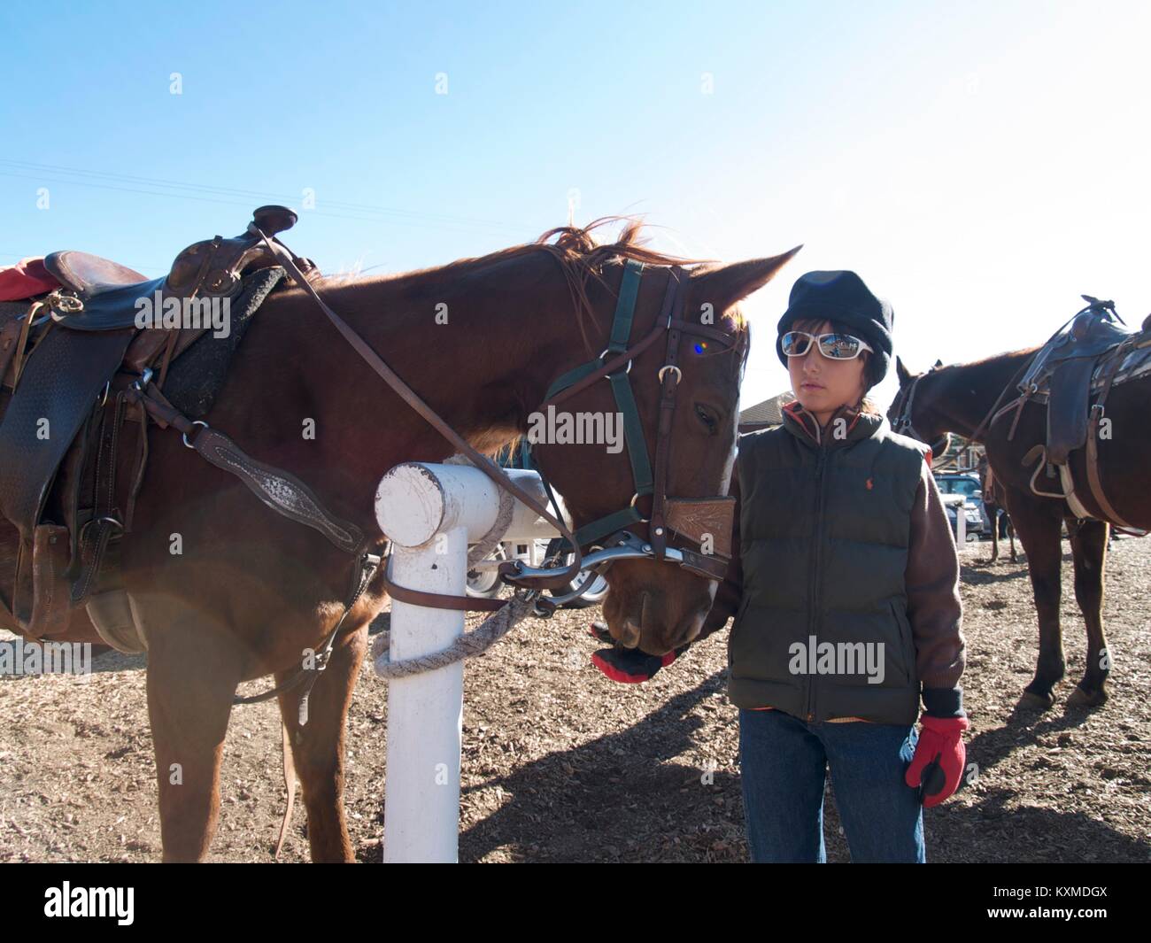 Horse stable boy hi-res stock photography and images - Alamy