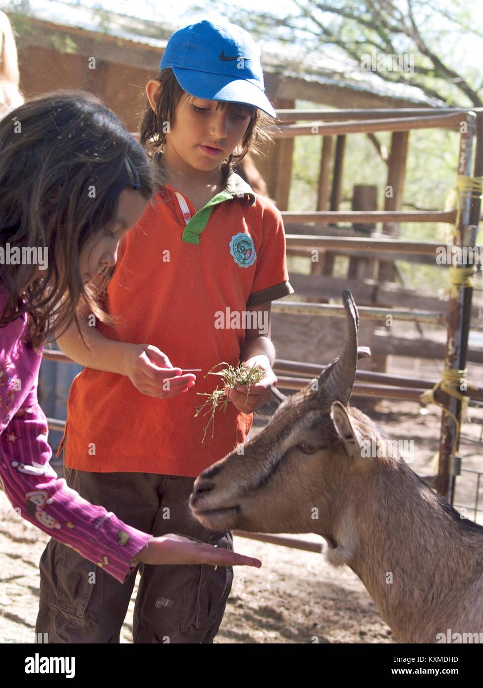 Zoo farm hi-res stock photography and images - Alamy