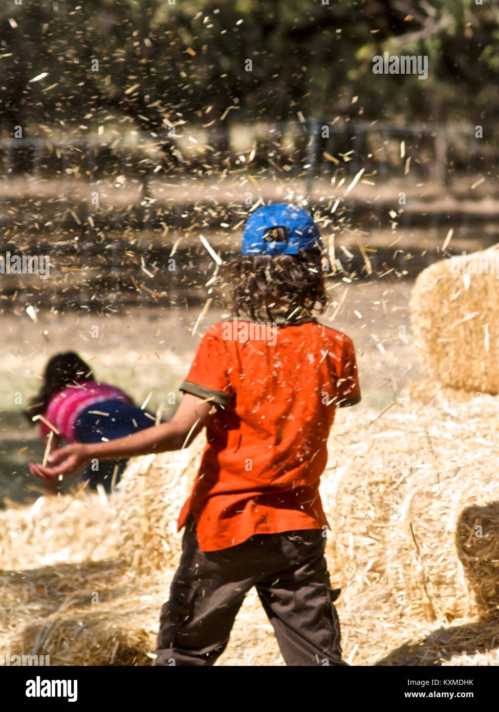 Kids playing on a farm hi-res stock photography and images - Alamy