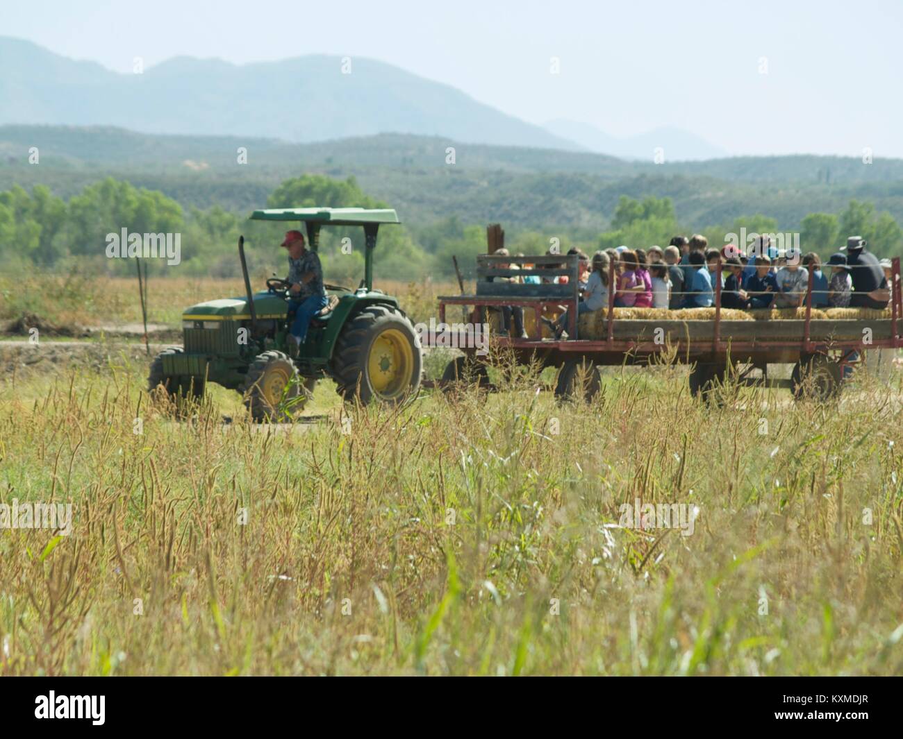 Tractor pulling cart hi-res stock photography and images - Alamy