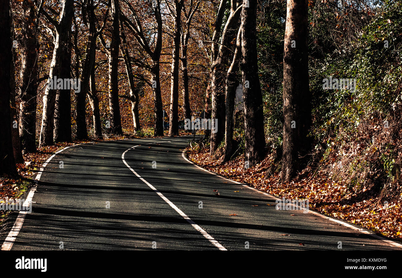 Road to Autumn Stock Photo - Alamy