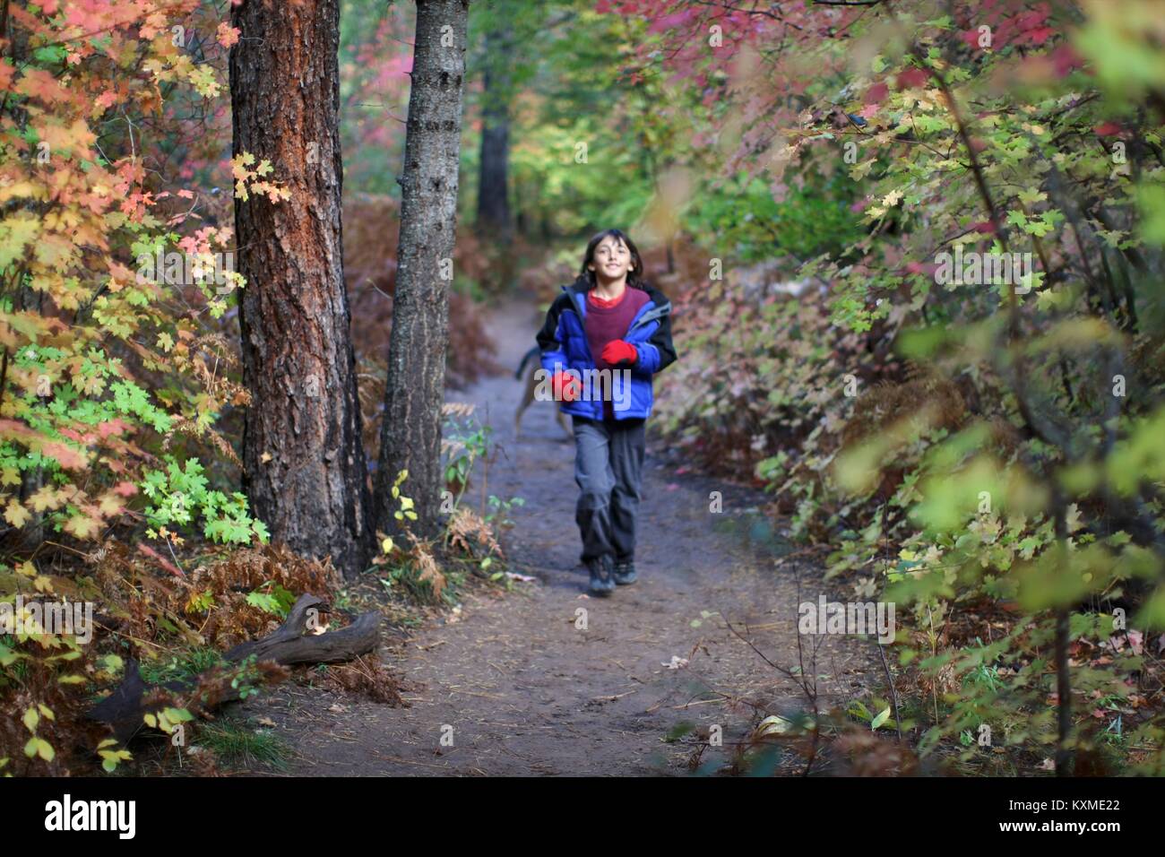 Fork in trail kid hi-res stock photography and images - Alamy