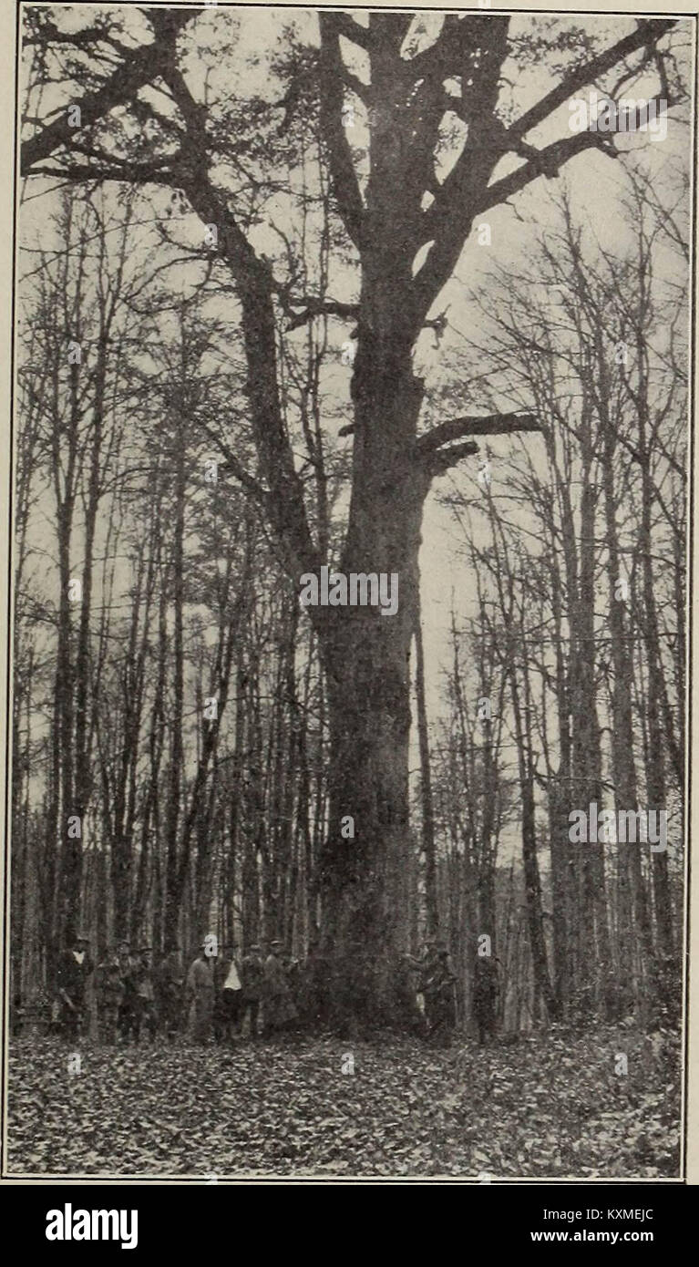 "Popular science monthly" (1913 Stock Photo - Alamy