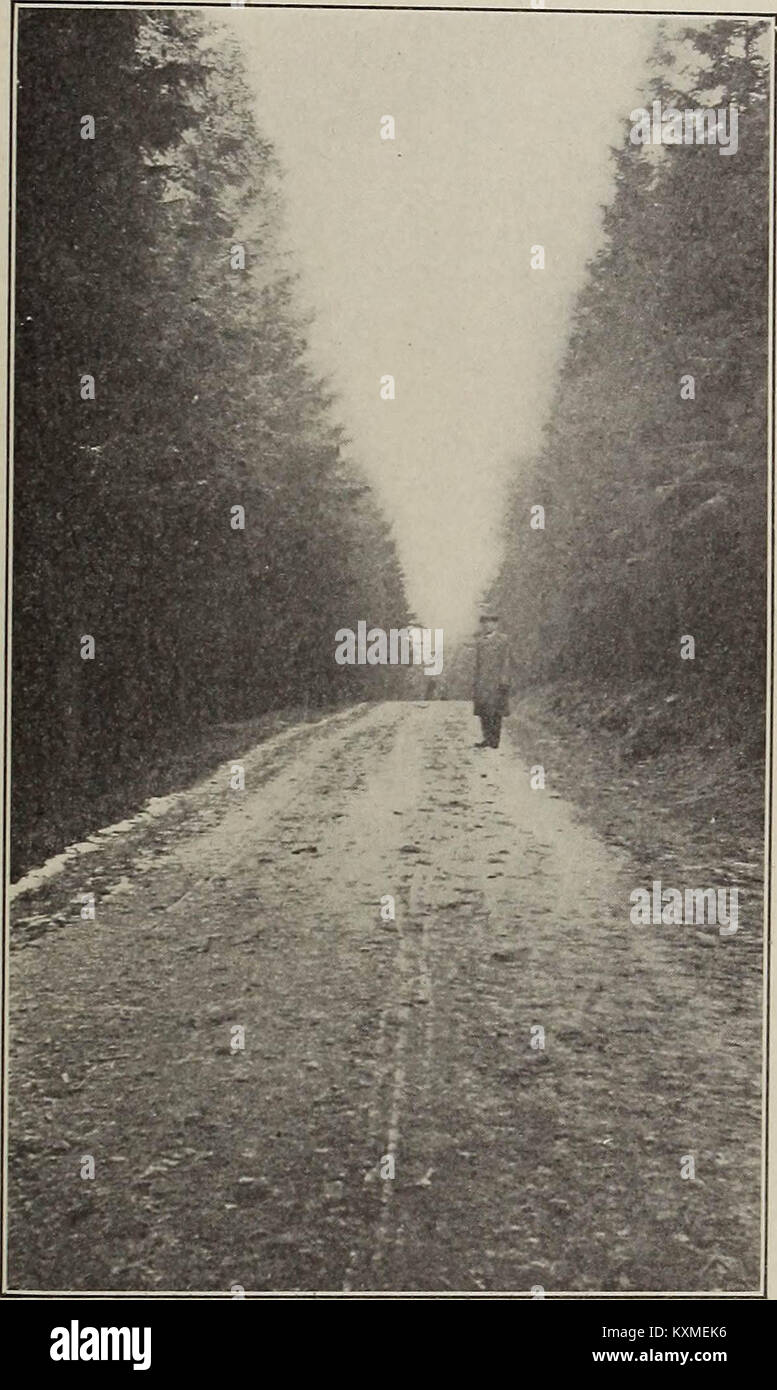"Popular science monthly" (1913 Stock Photo - Alamy