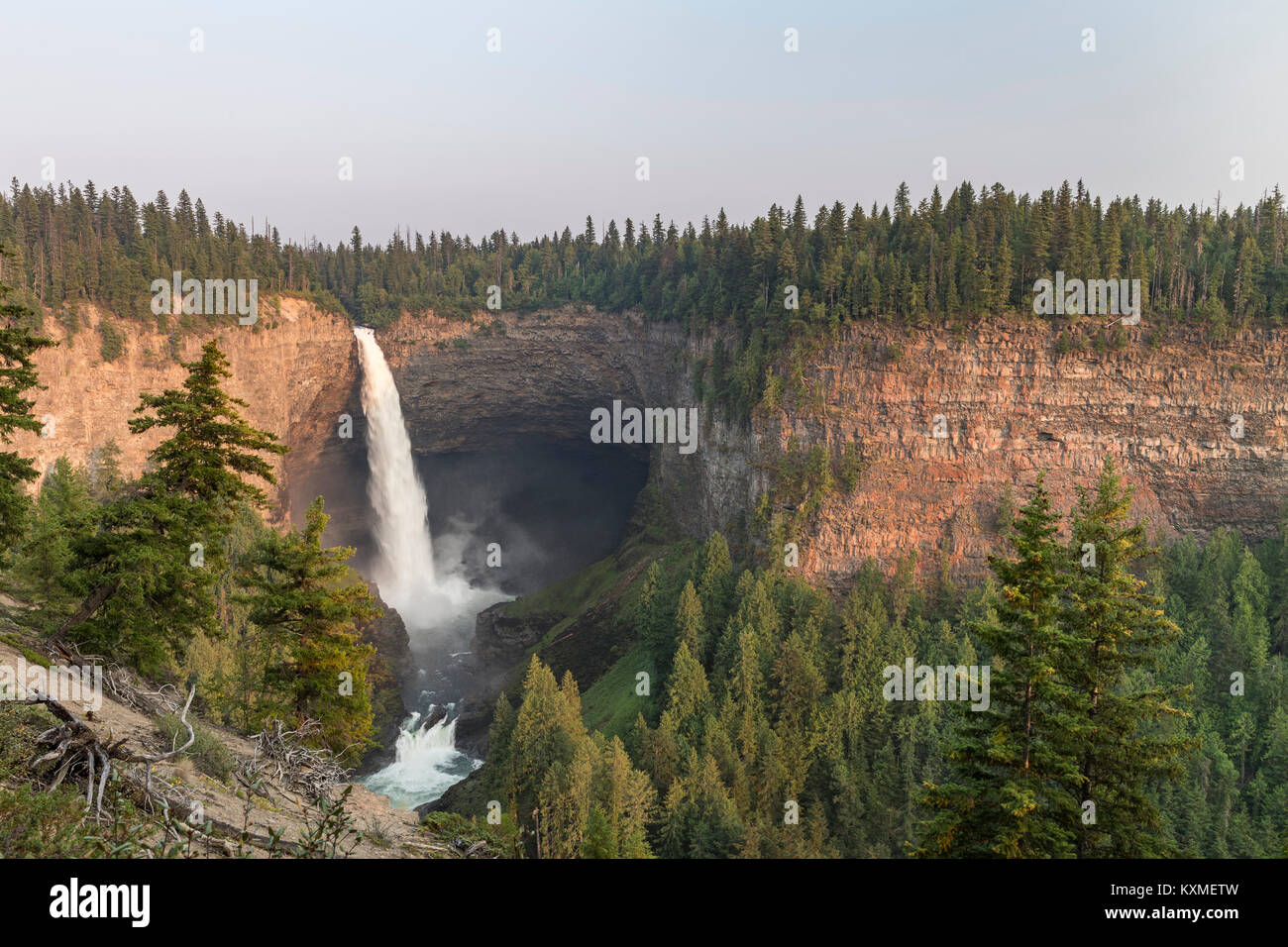 British columbia forest hi-res stock photography and images - Alamy
