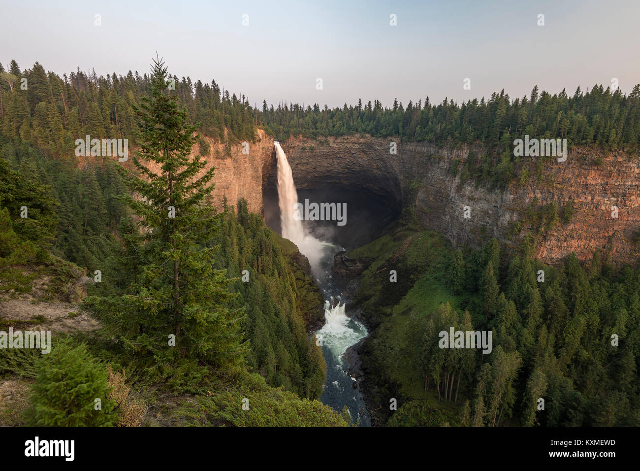 British columbia forest hi-res stock photography and images - Alamy