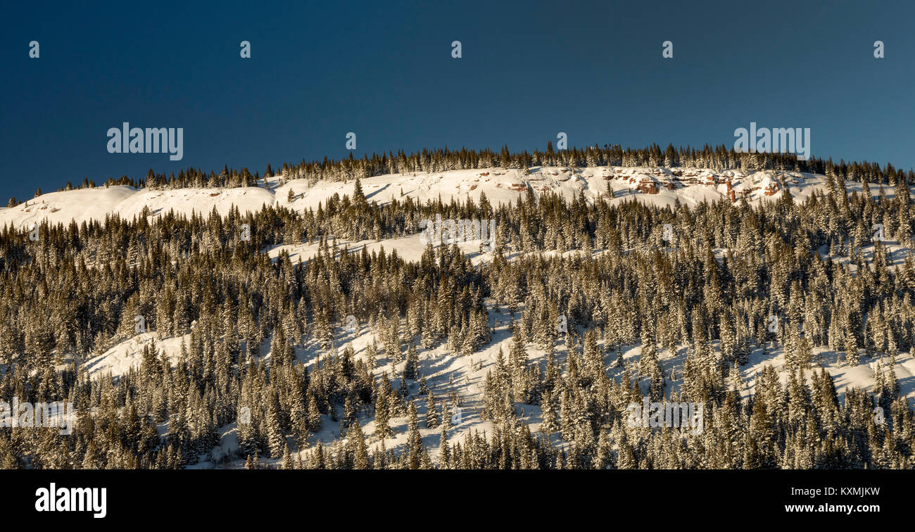 Vail, Colorado - Winter in the Rocky Mountains at Vail Pass Stock Photo ...