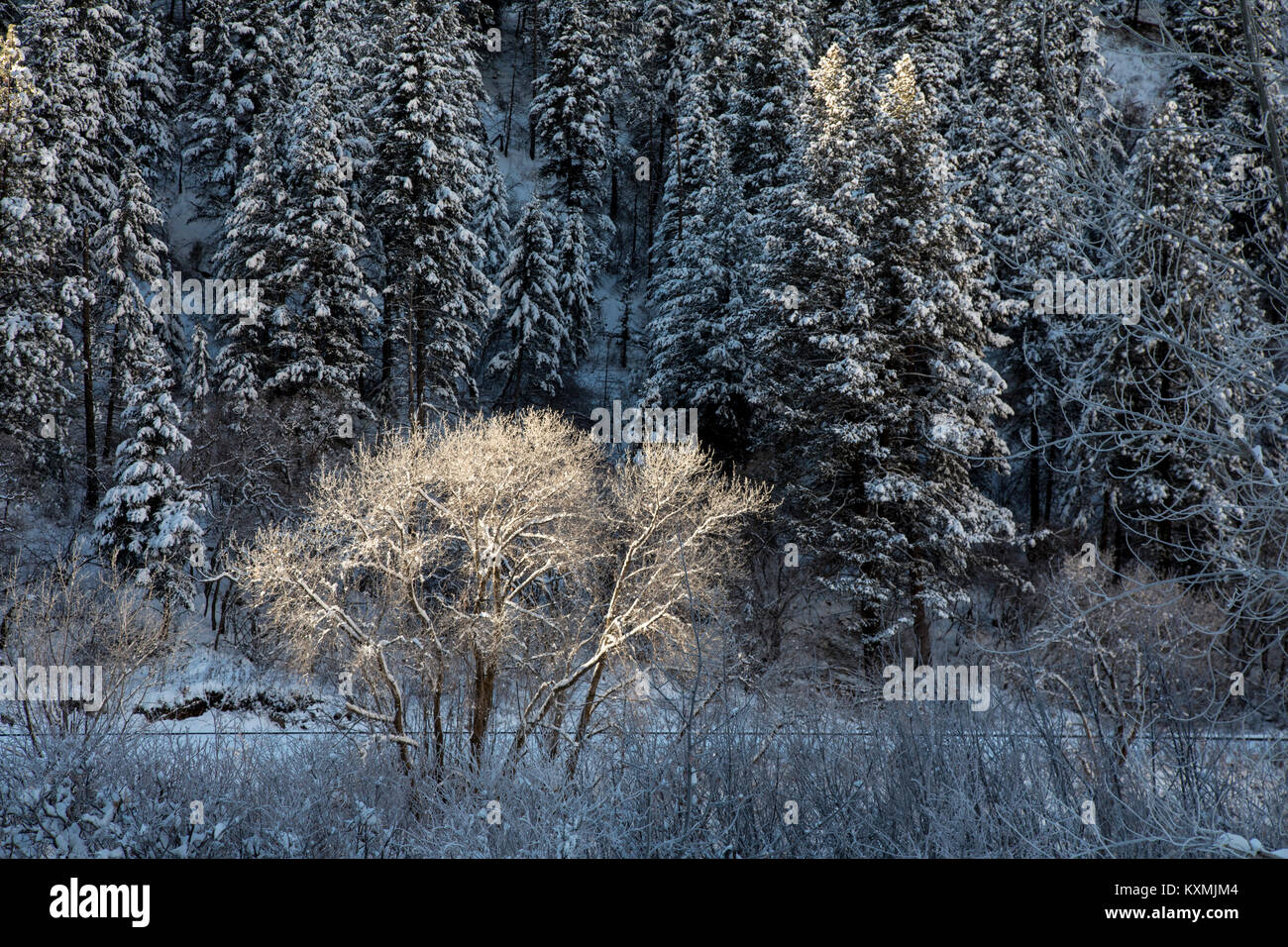 Glenwood canyon hi-res stock photography and images - Alamy