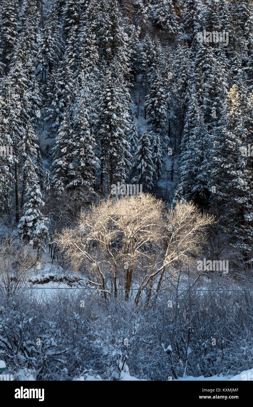 Glenwood springs colorado winter hi-res stock photography and images ...