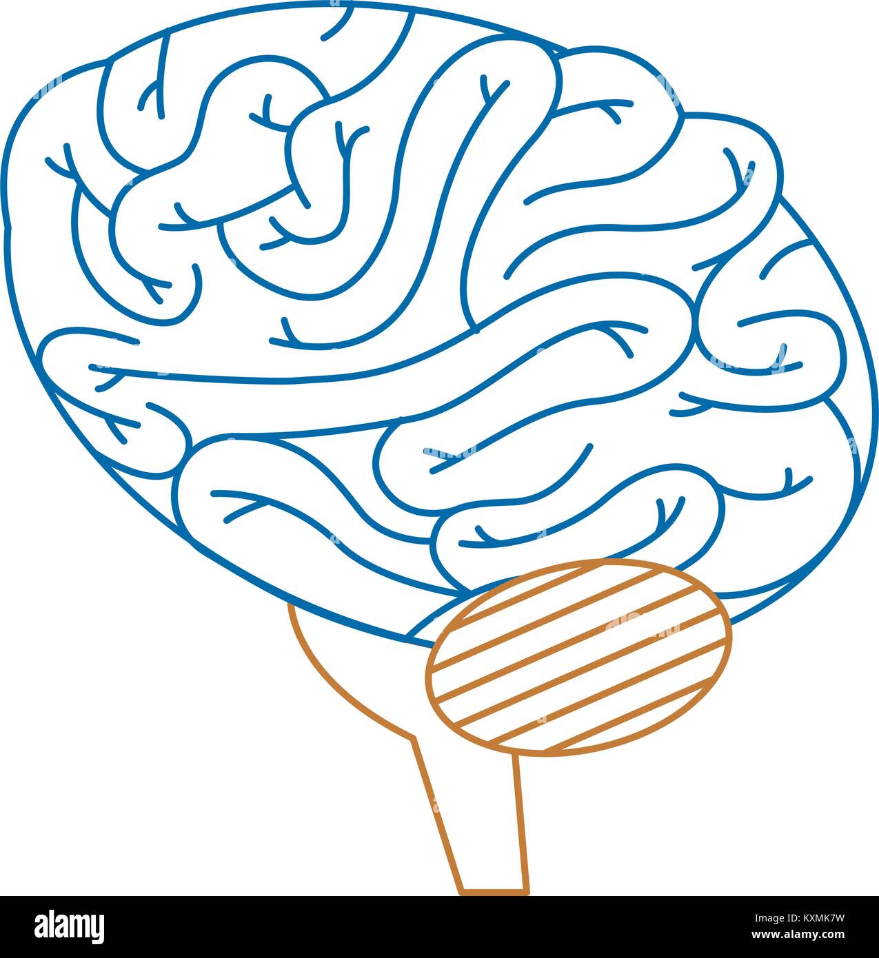 Psychology intelligence sign or cerebro simple intellectual symbol hi ...