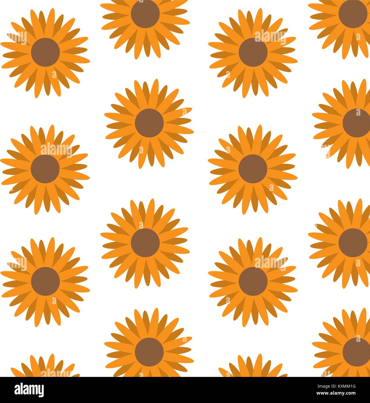 Beauty sunflower detail Stock Vector Images - Alamy