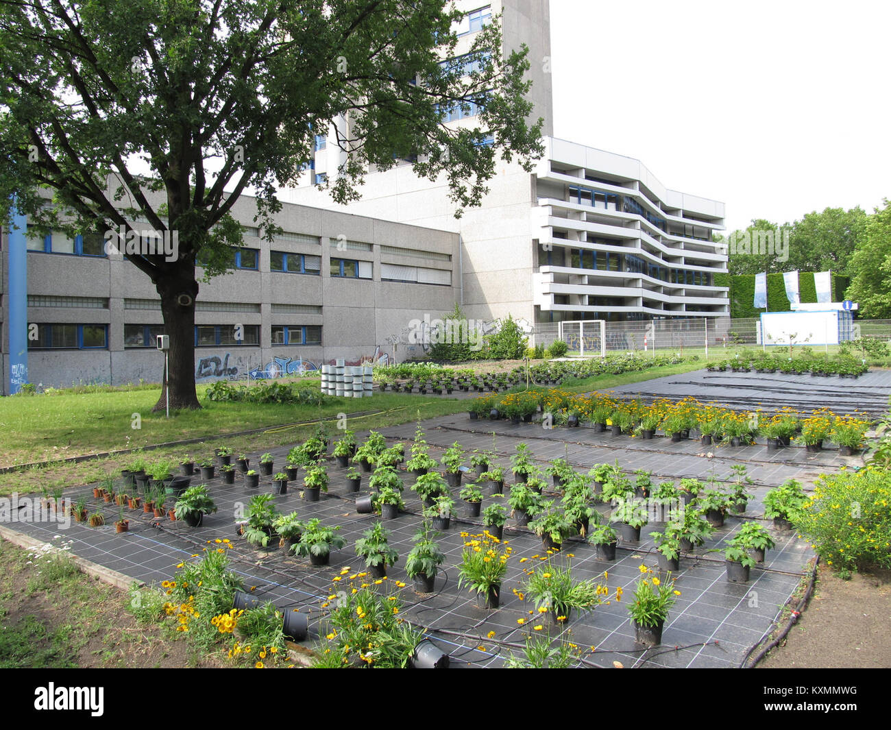 Beuth hochschule fur technik hi-res stock photography and images - Alamy