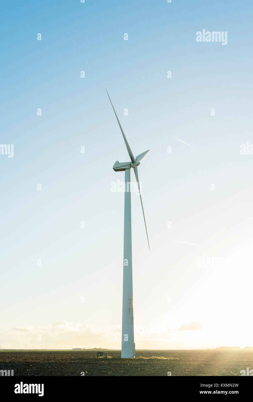 Zeewolde hi-res stock photography and images - Alamy