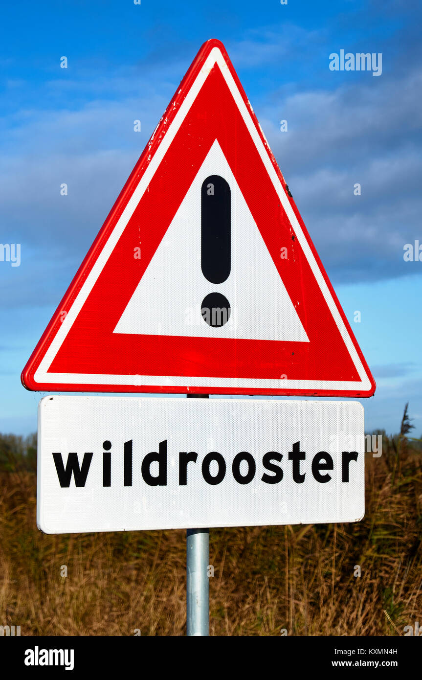 Exclamation mark road sign hi-res stock photography and images - Alamy