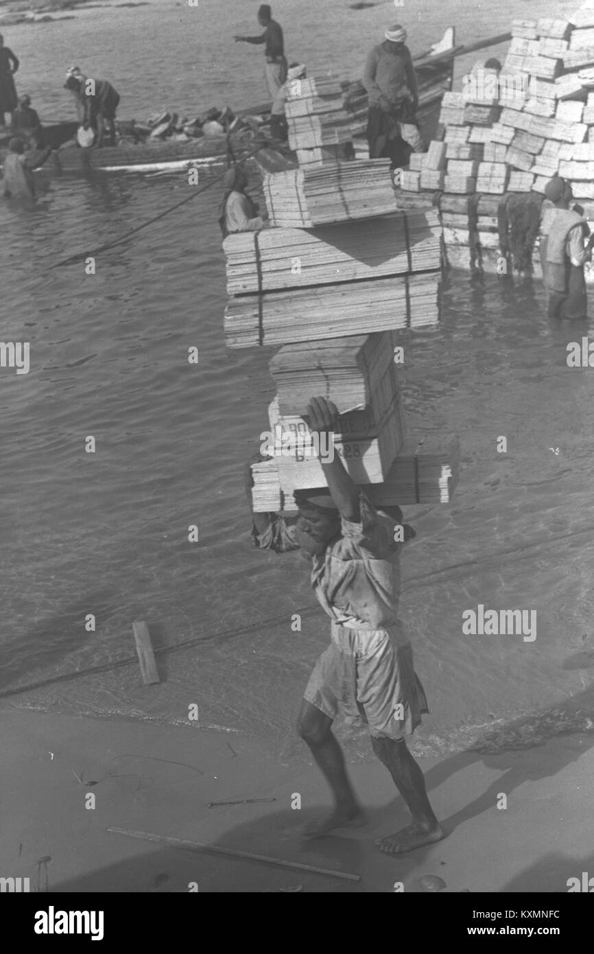 Stevedore hi-res stock photography and images - Alamy