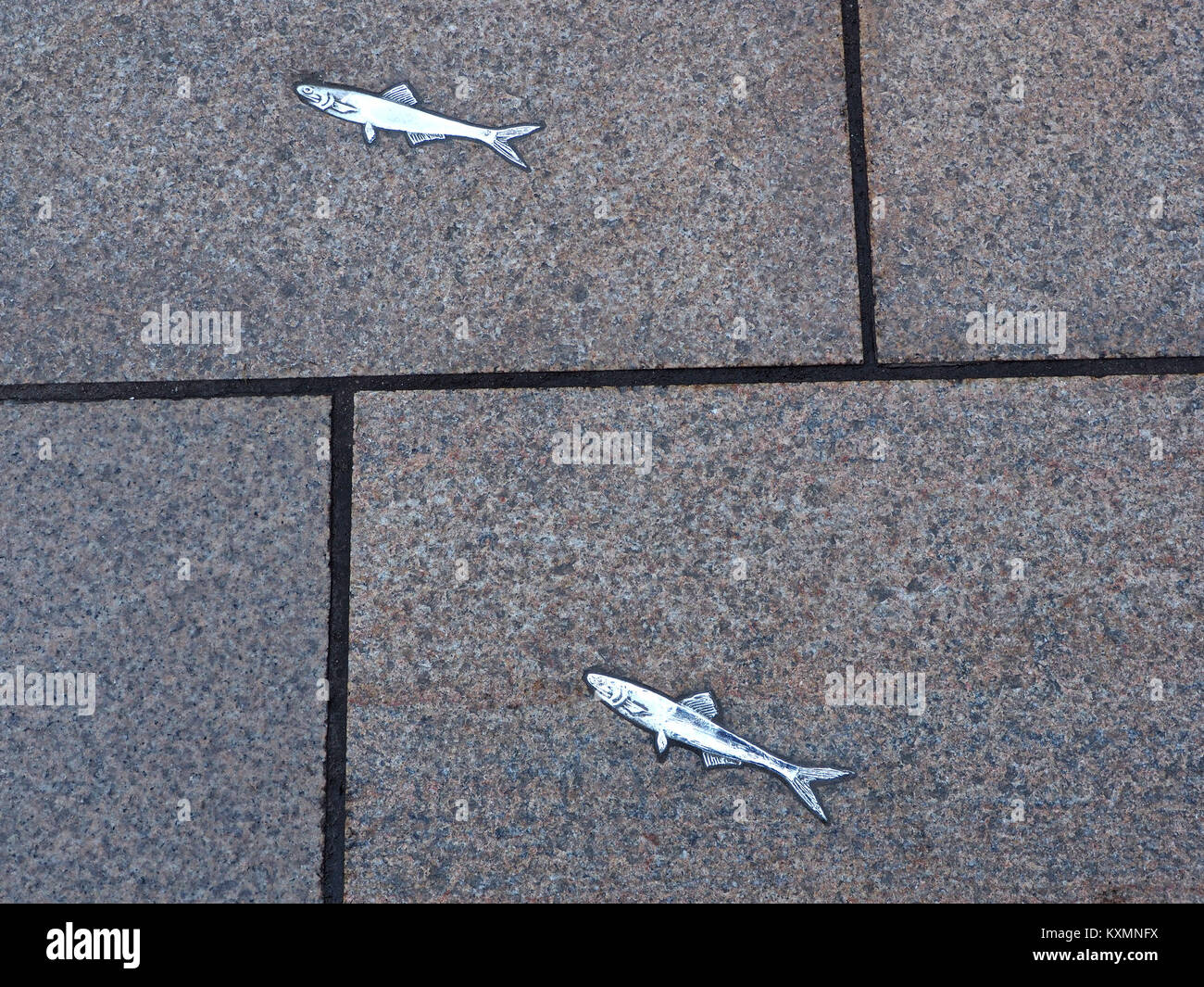 Silver anchovies set into the pavement in Hull, City of Culture 2017 UK ...