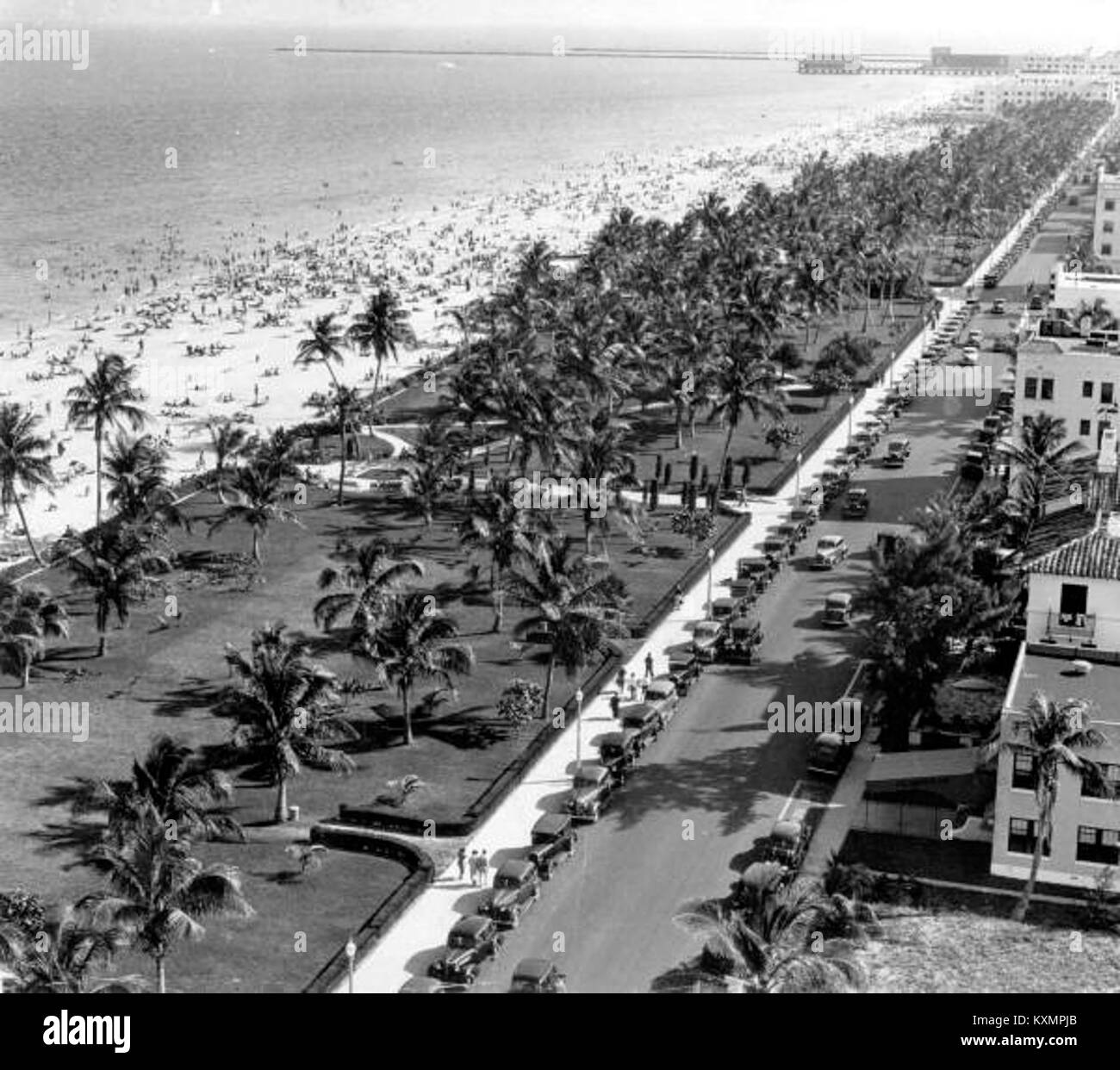 Bird's eye view of Lummus Park by the beach - Miami Beach, Florida ...