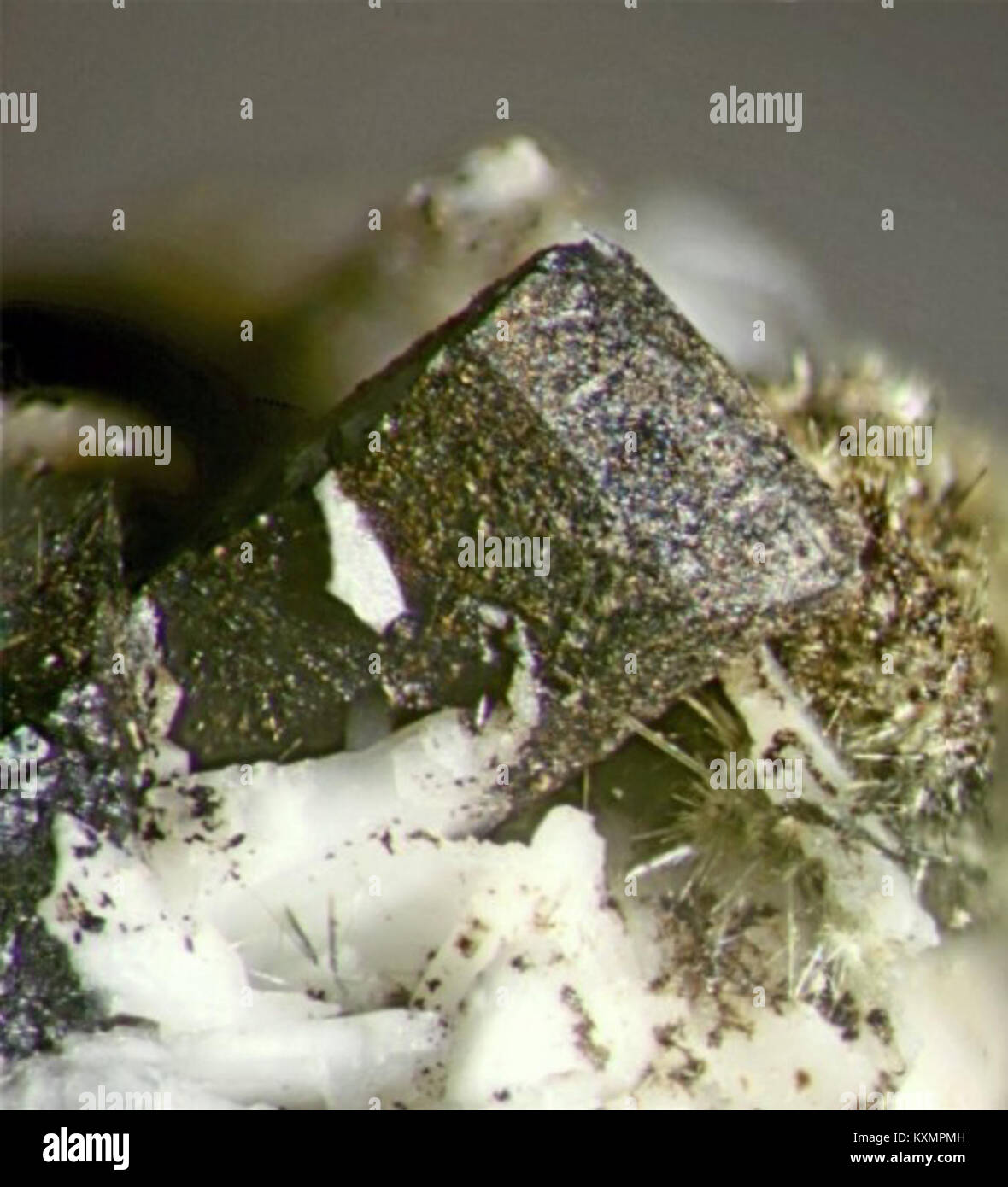 Demix hi-res stock photography and images - Alamy