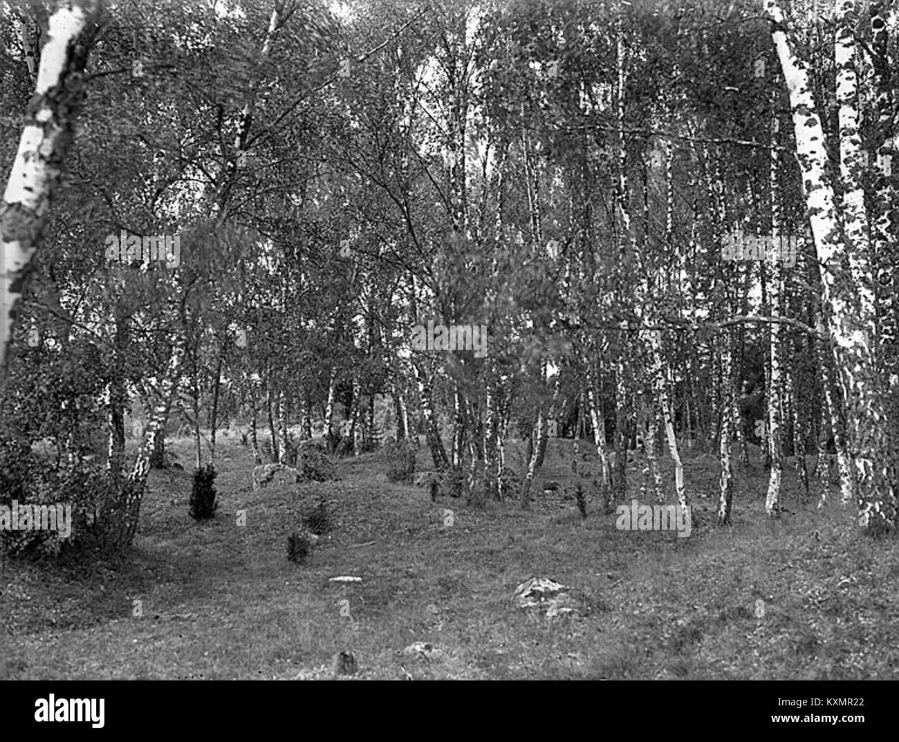 Birka sweden Black and White Stock Photos & Images - Alamy