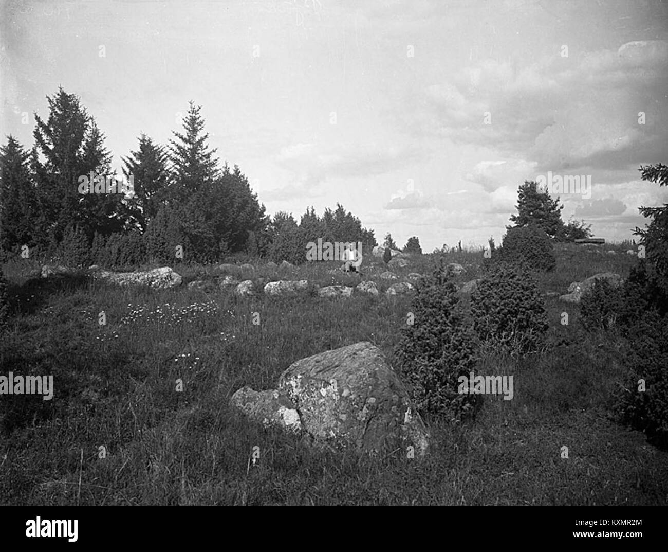 This image shows the archaeological site of Birka in Sweden, known for ...