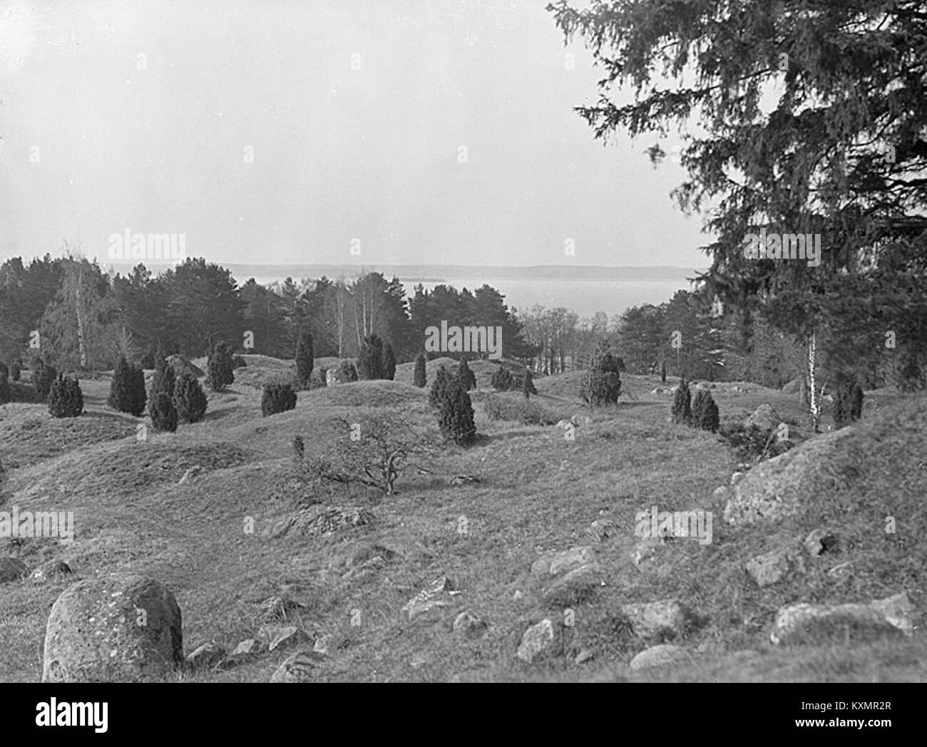 Birka sweden Black and White Stock Photos & Images - Alamy
