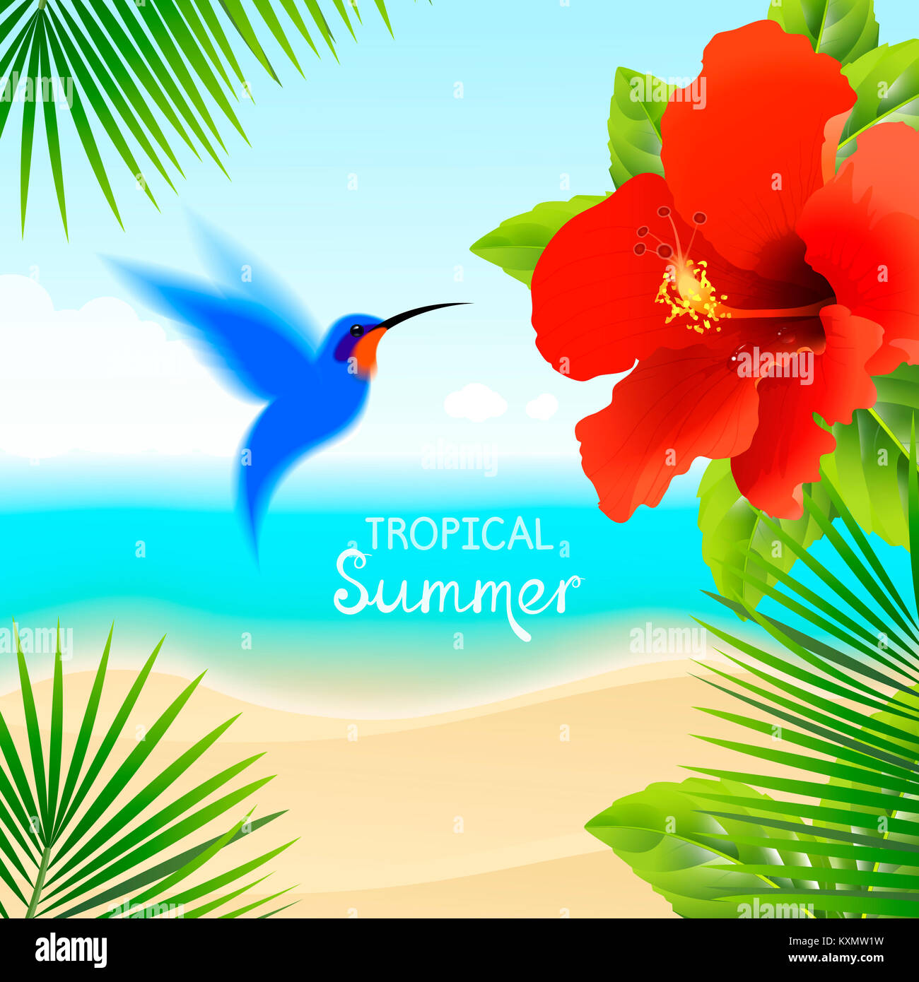 Vector Hummingbird And Poppies Poppy Poppies Stock Vector Illustration