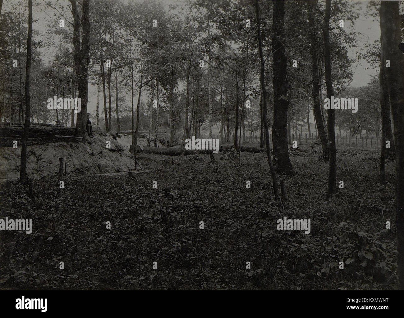 A historical photograph from the Romaniec bridgehead, showing the front ...