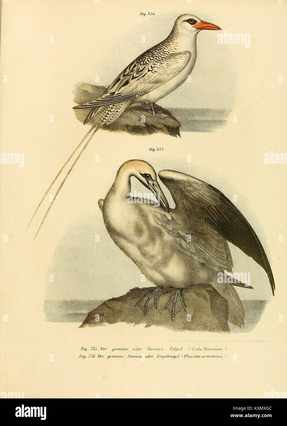 Depict various scientific hi-res stock photography and images - Alamy