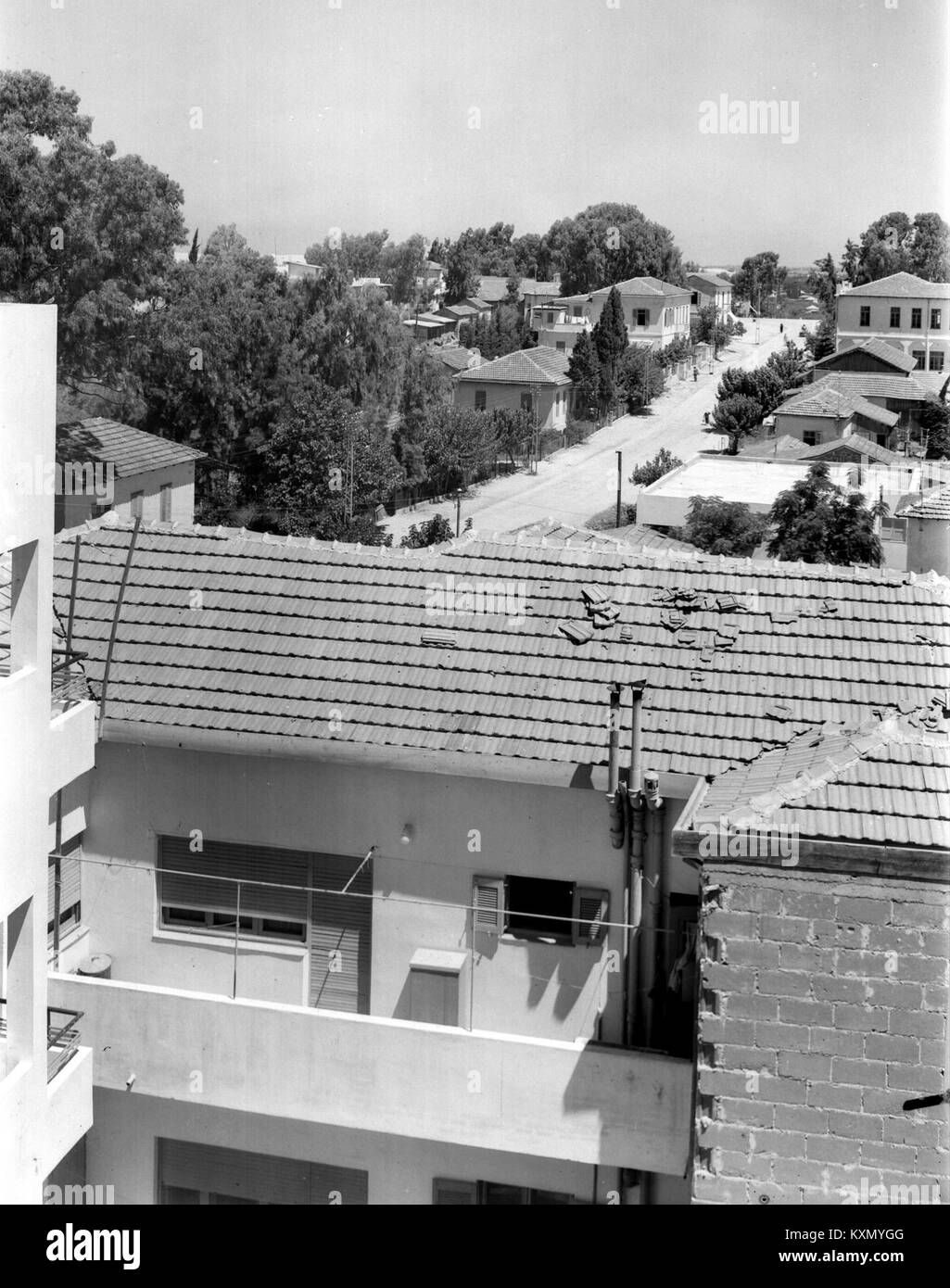 This image depicts a street in Rishon Lezion, Israel, capturing the ...