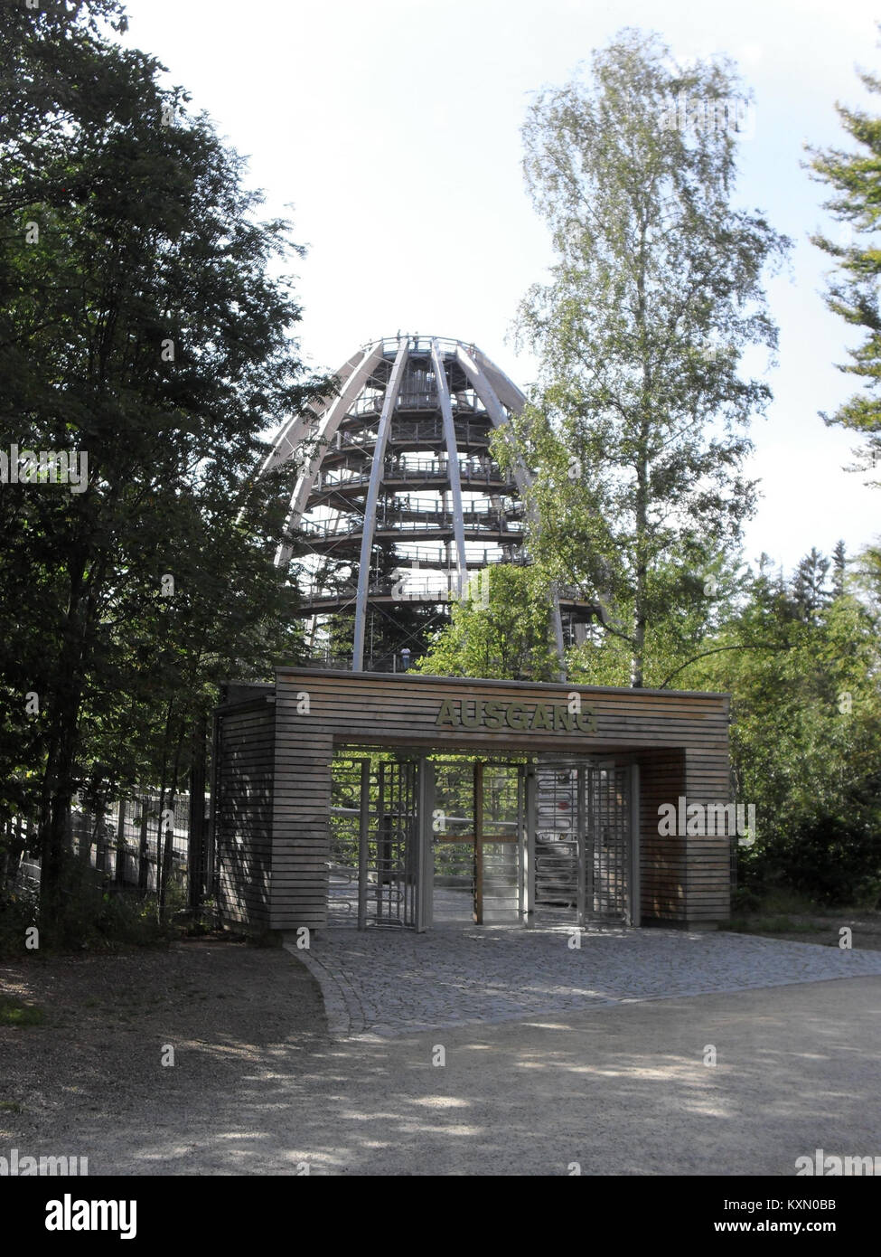 A photograph of the Baumwipfelpfad (Tree Top Walk) in Neuschönau ...