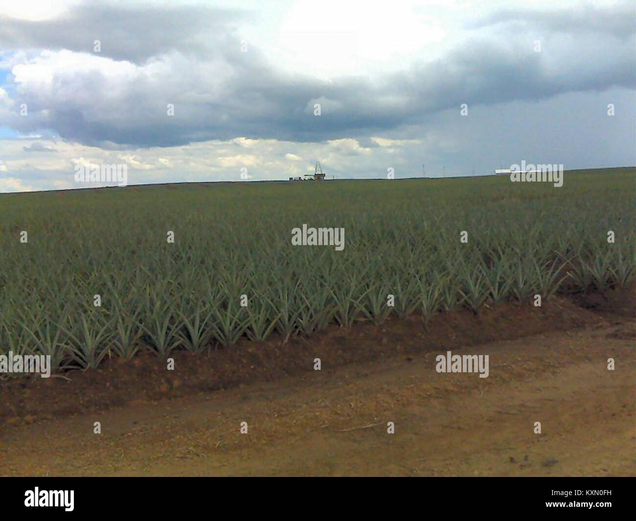 Bayaguana dominican republic hi-res stock photography and images - Alamy