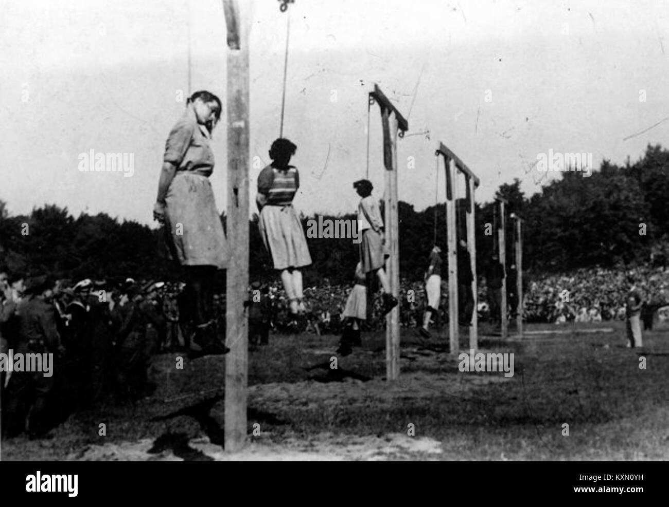 This historical photograph depicts the execution of several individuals ...
