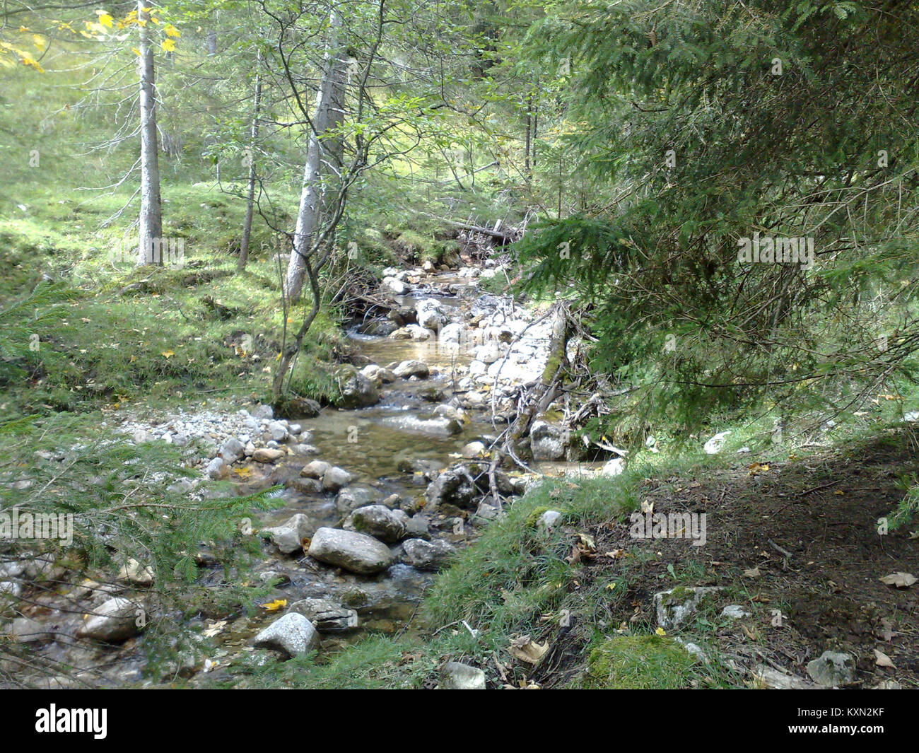 Photograph of Auerbach, Germany, focusing on the Alpenstraße (Alpine ...