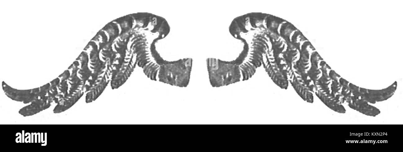 Medium wings Black and White Stock Photos & Images - Alamy