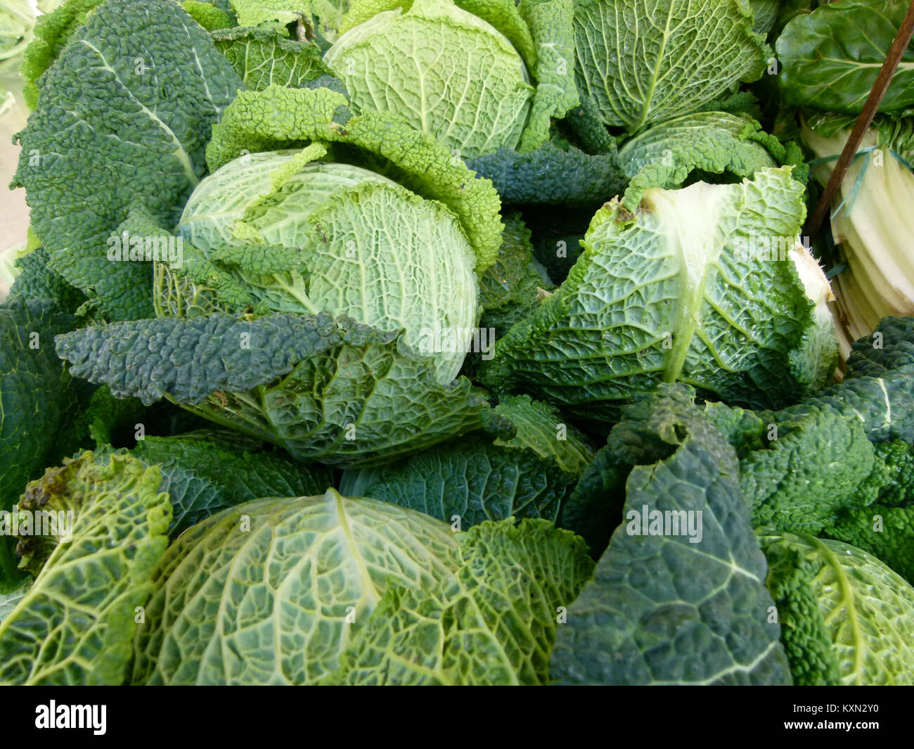 Au marché - choux Stock Photo - Alamy