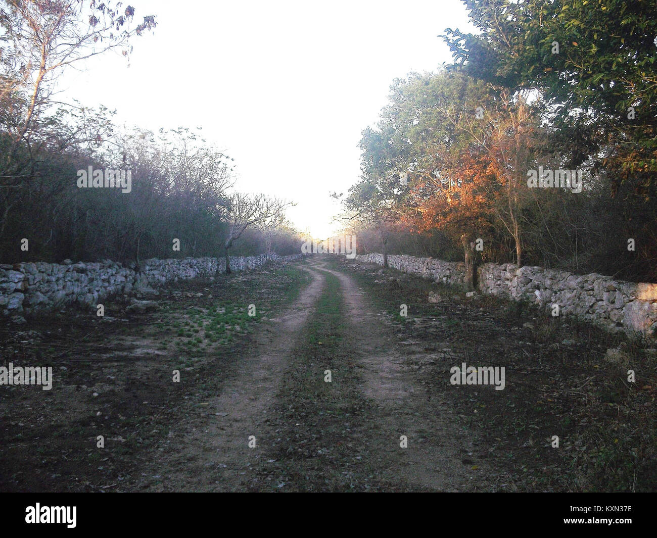 Mexican cultural sites hi-res stock photography and images - Alamy