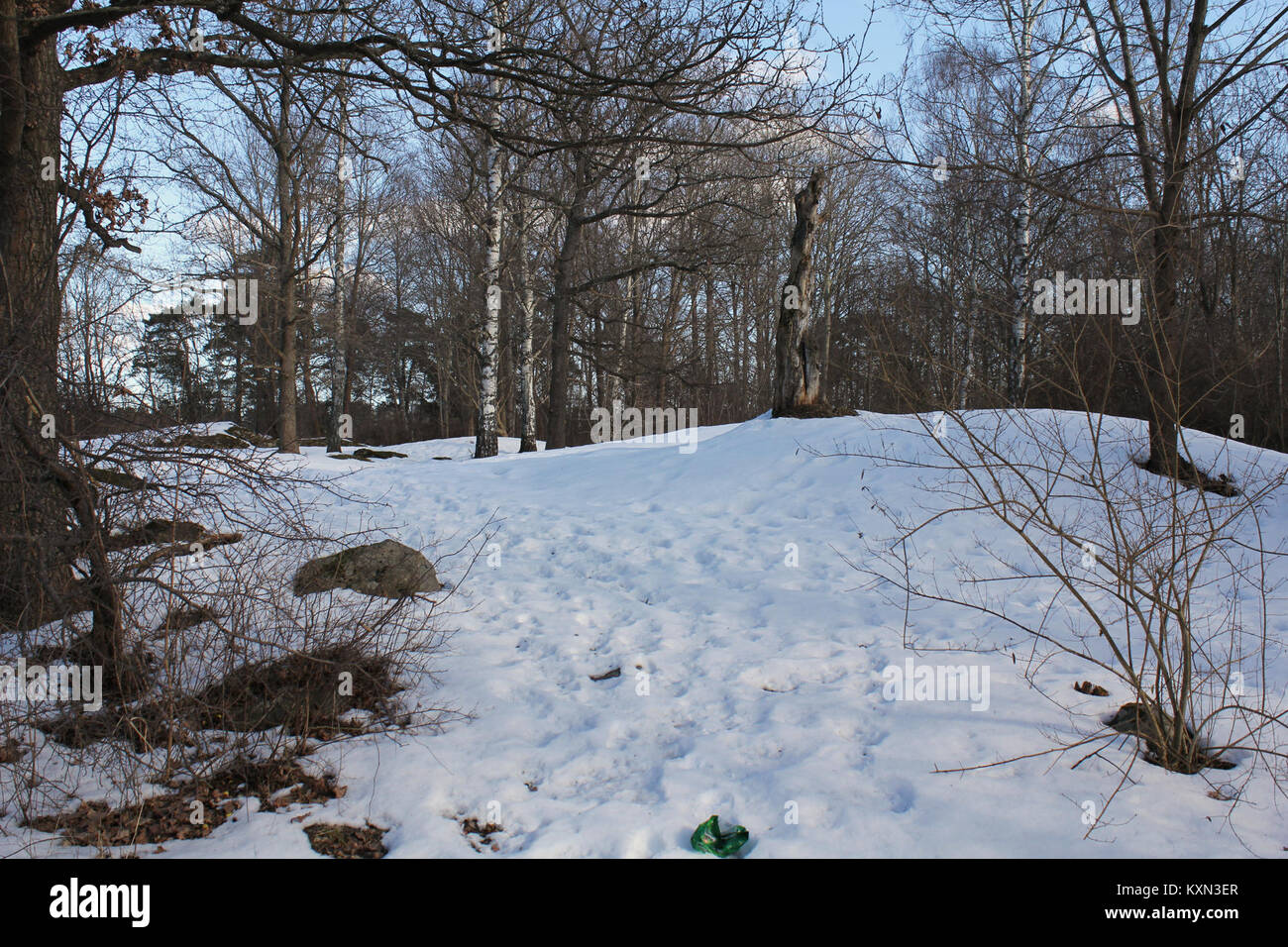 Björklunds hage is an archaeological site located in Norra Ängby ...