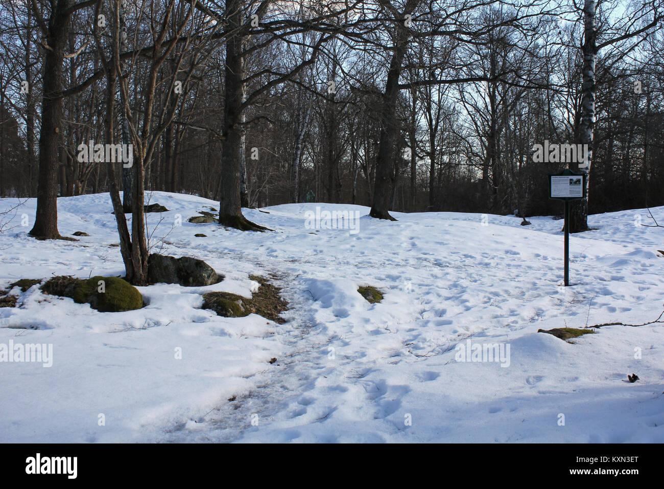 Bjorklunds hi-res stock photography and images - Alamy