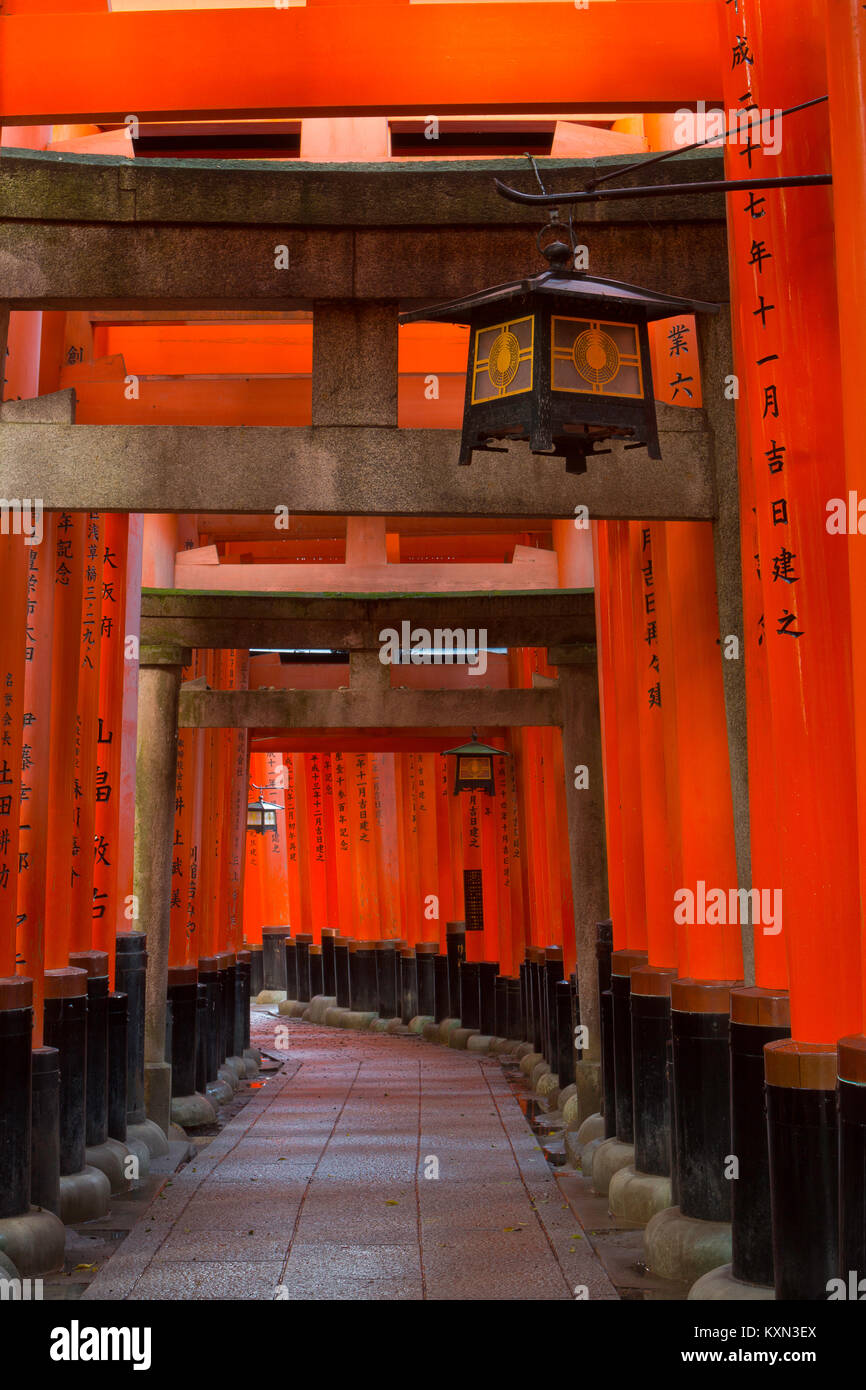 A lantern hangs along the Torii path of Fushimi Inari in Kyoto, Japan ...