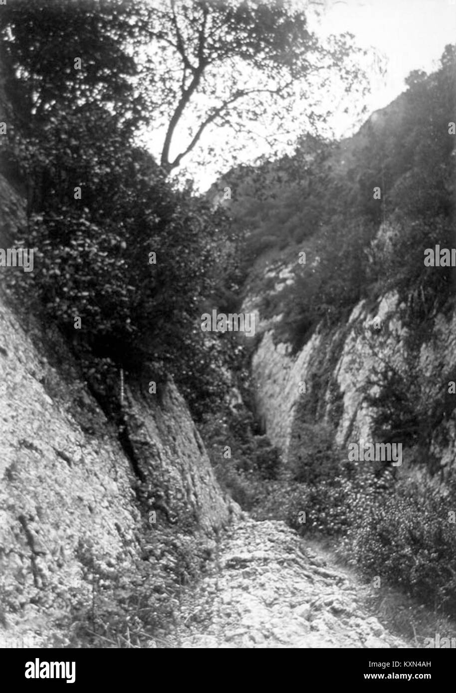 Canvas depicting Black and White Stock Photos & Images - Alamy
