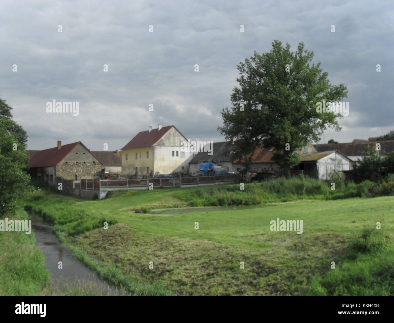 This title references the Babena town honor or municipal distinction at ...