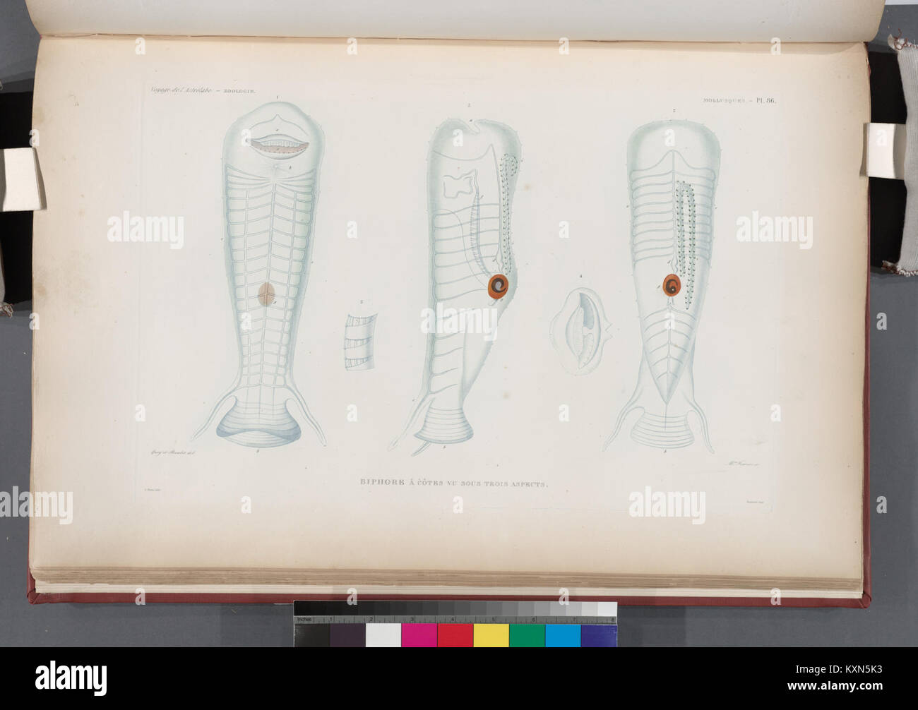 Photograph showing a biphore window with ribs from three perspectives ...