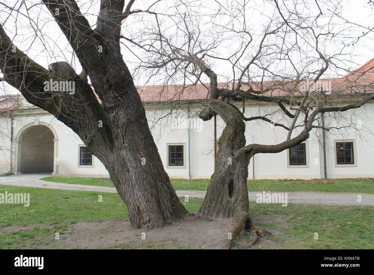 This historic image of the Benedictine monastery illustrates its ...