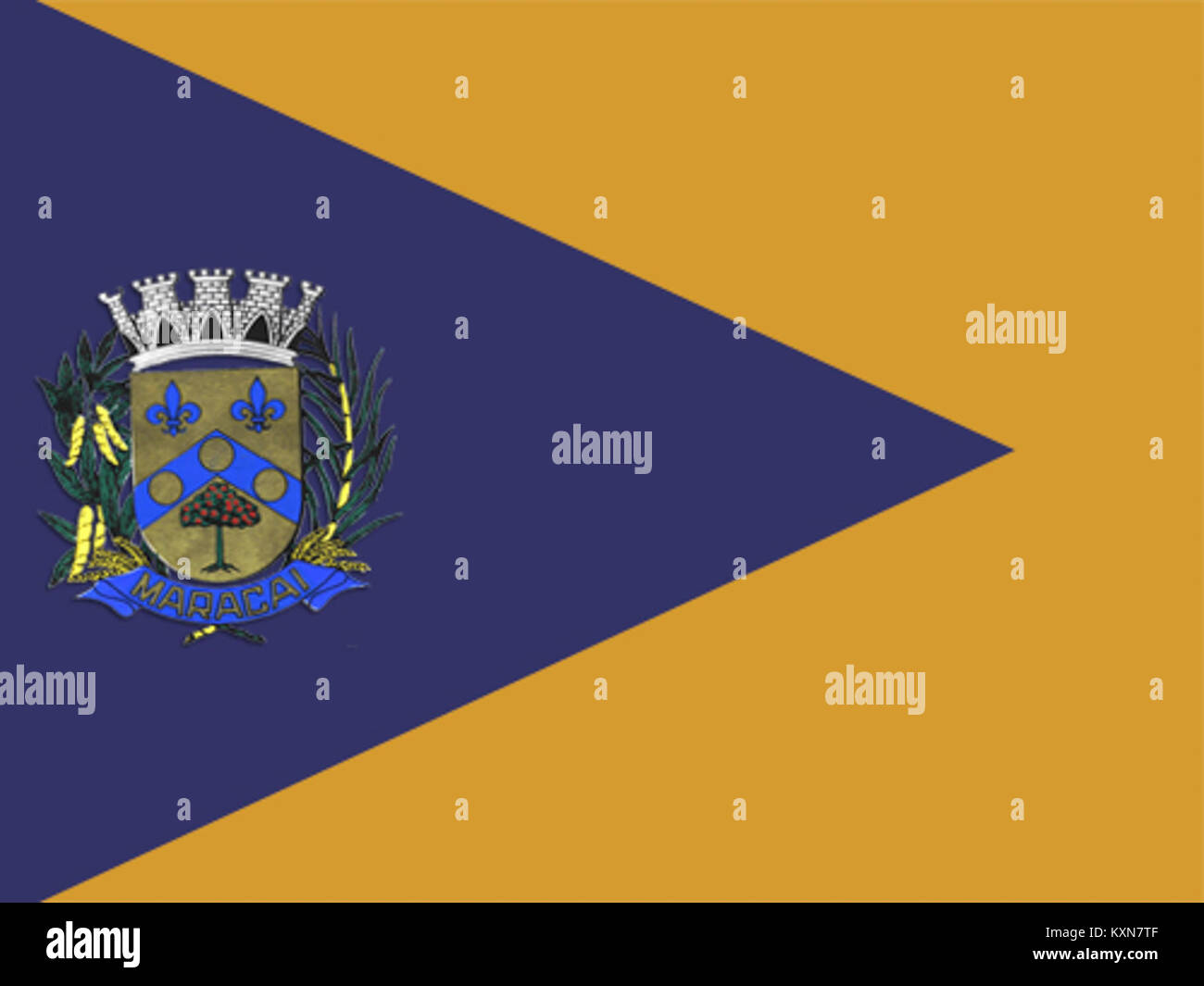 Maracai hi-res stock photography and images - Alamy