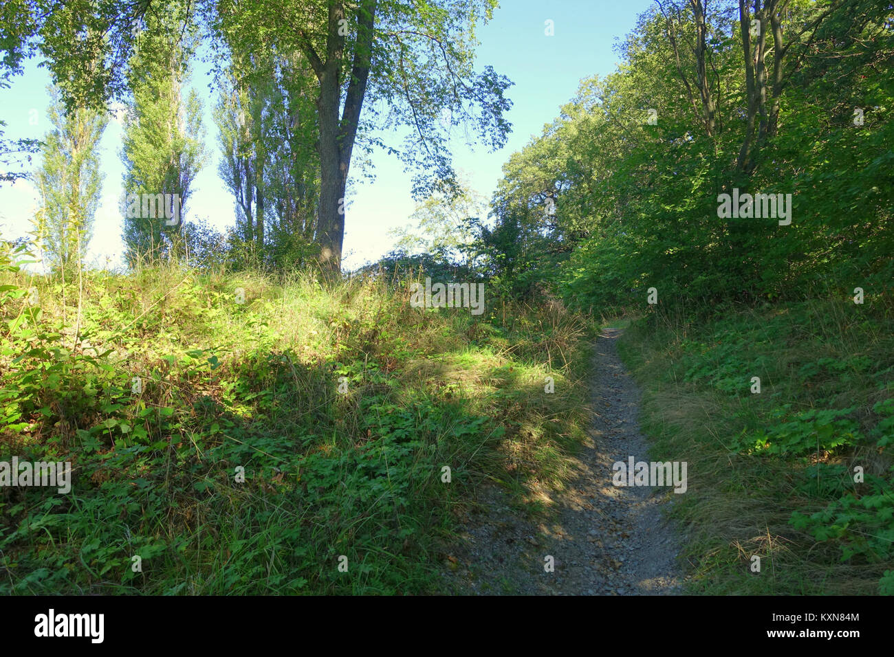 Bergianska stockholm hi-res stock photography and images - Alamy