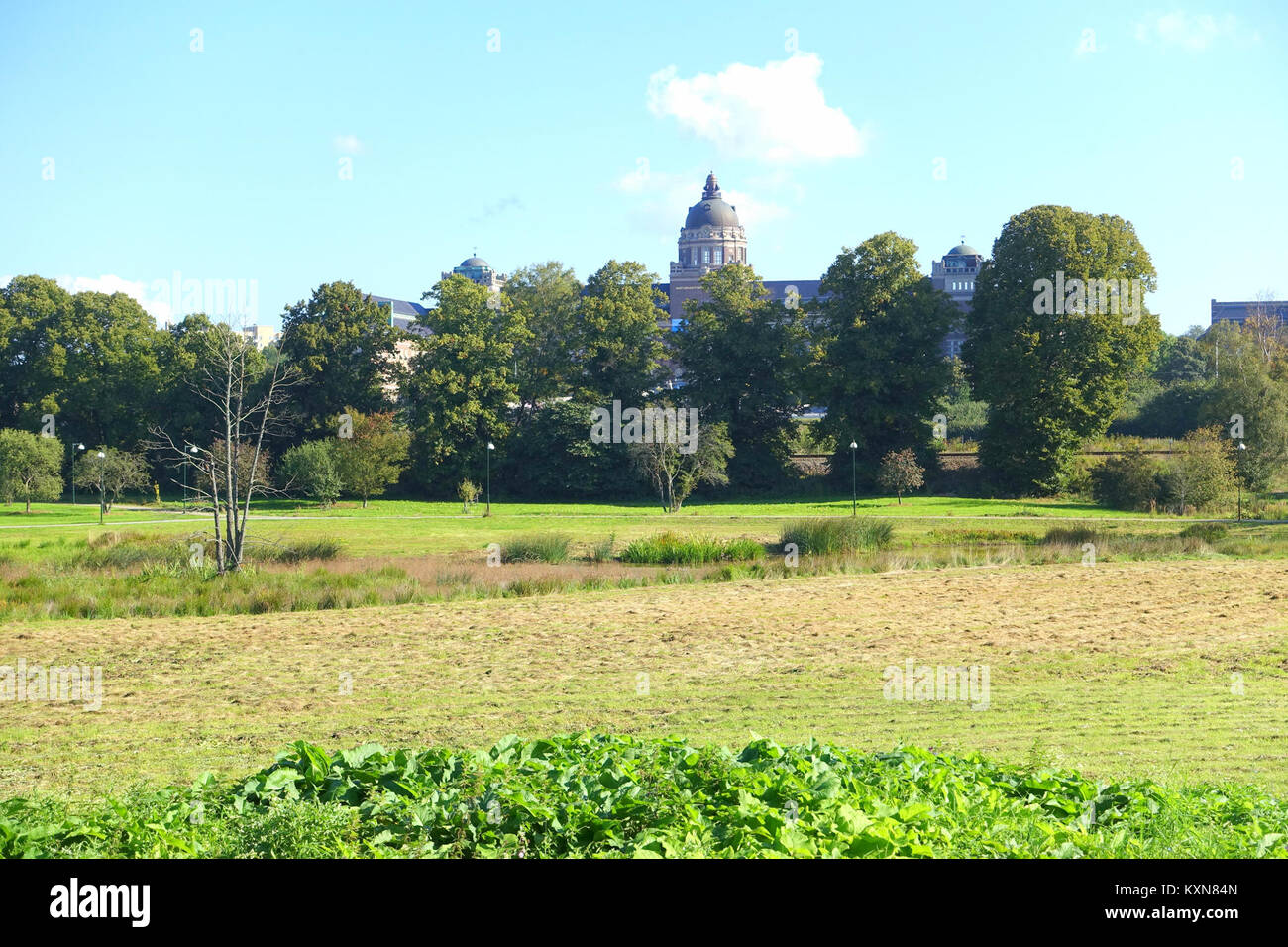 Bergianska High Resolution Stock Photography and Images - Alamy