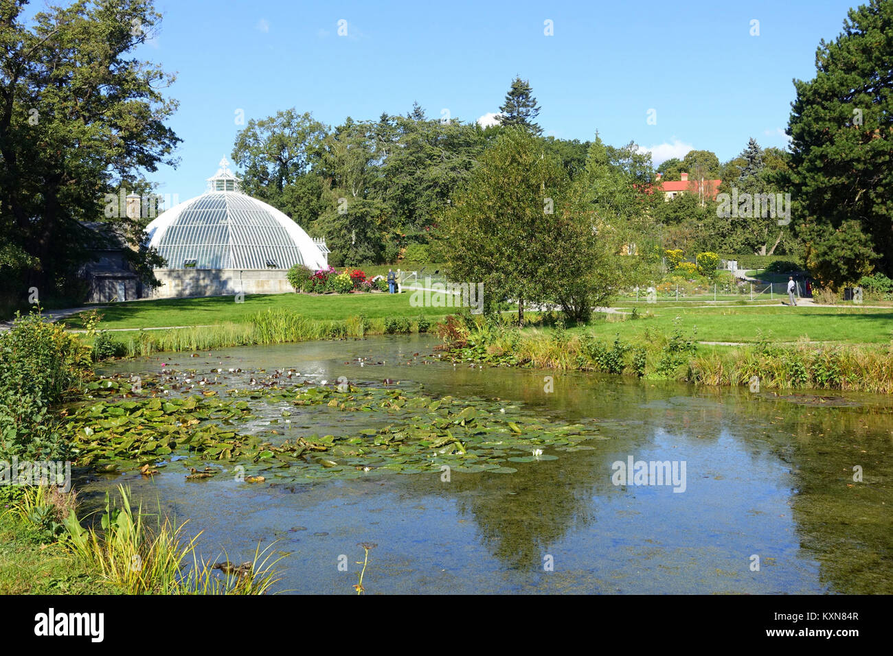 Bergianska tradgarden hi-res stock photography and images - Alamy