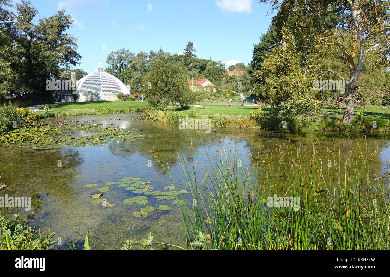 Bergianska Tradgarden High Resolution Stock Photography and Images - Alamy