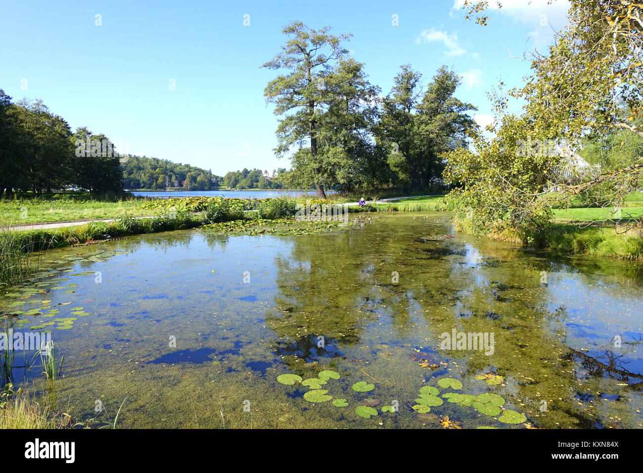 Bergianska Tradgarden High Resolution Stock Photography and Images - Alamy