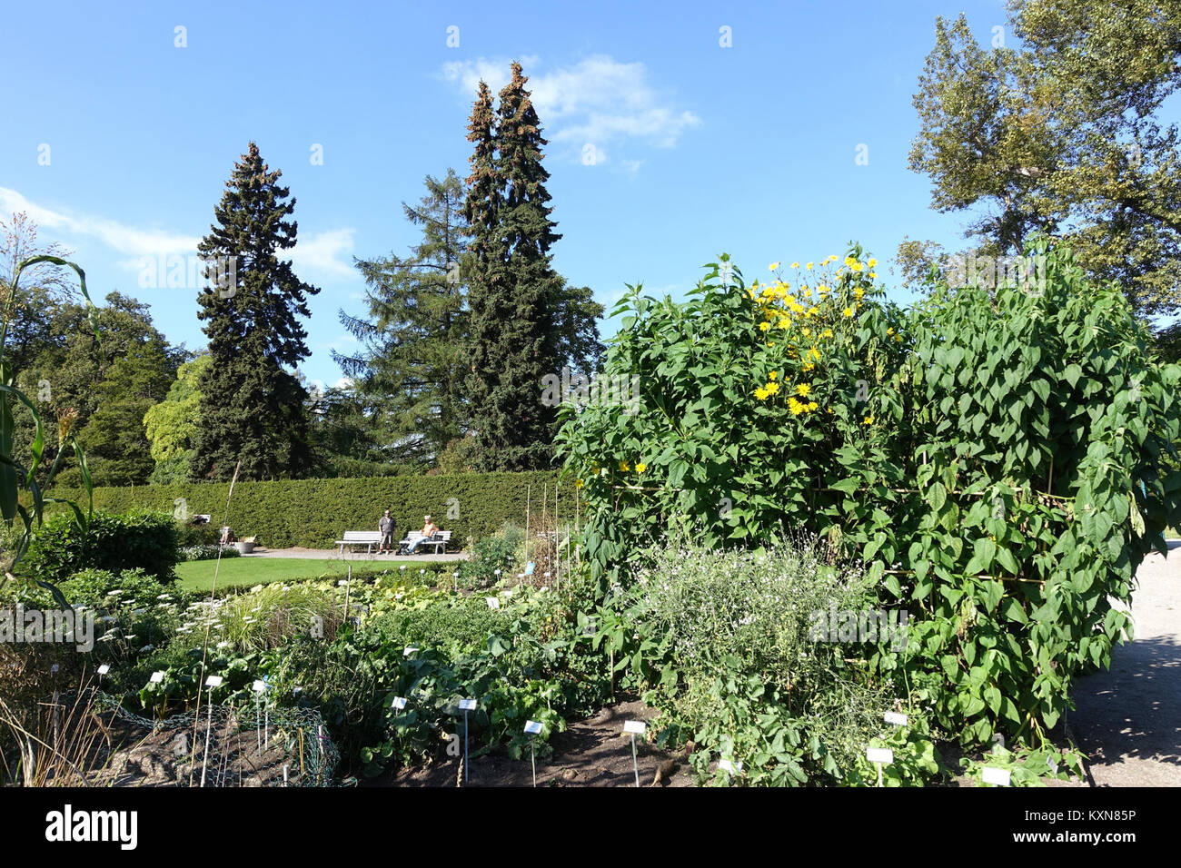 Bergianska stockholm hi-res stock photography and images - Alamy